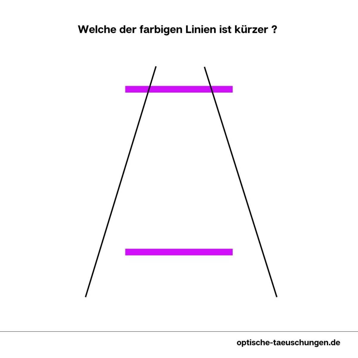 Optische Täuschungen richtig verstehen. – Optische Täuschungen